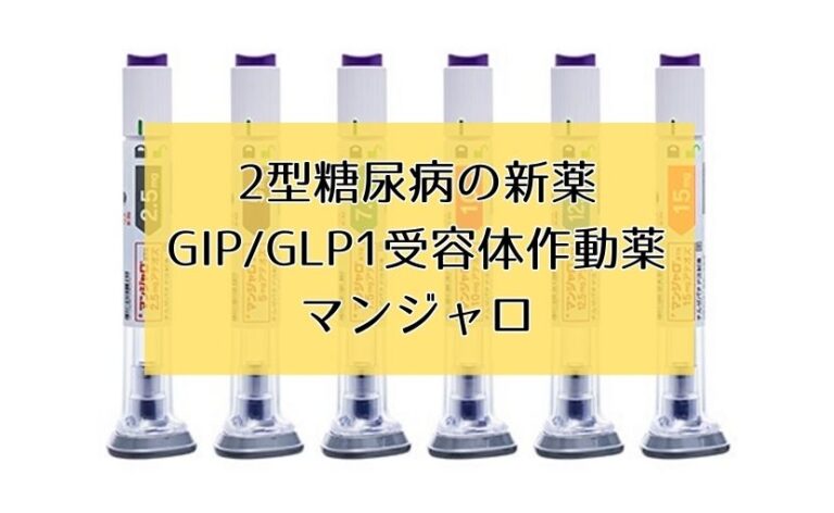 2型糖尿病の新薬「マンジャロ(gipglp 1受容体作動薬)」について解説 やまおか内科クリニック内科・訪問診療 大阪市平野区